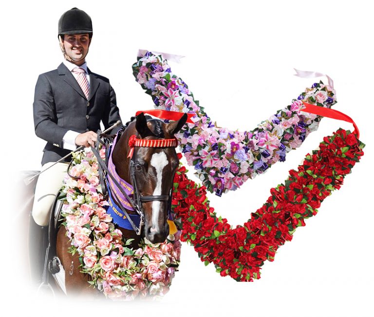 Custom Garlands – Conception Garlands